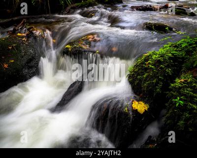 River (Afon) Mamog, Cwm Cych, Wales Stock Photo - Alamy