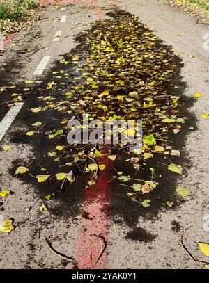 concrete road texture with fallen leaves Stock Photo - Alamy