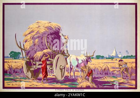 Paddy field. Historical artwork of workers planting and irrigating a ...