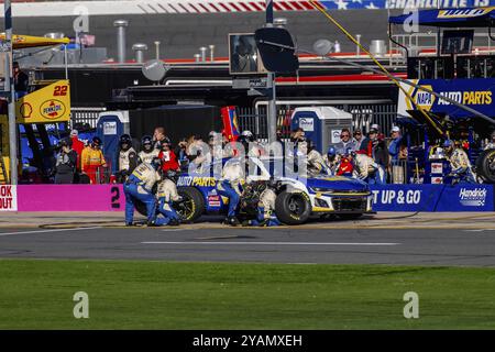 Chase Elliott drives during the NASCAR Cup Series auto race at ...