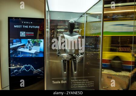 Optimus, also known as Tesla Bot, is a general-purpose robotic humanoid ...