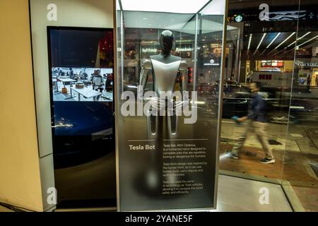 Optimus, also known as Tesla Bot, is a general-purpose robotic humanoid ...