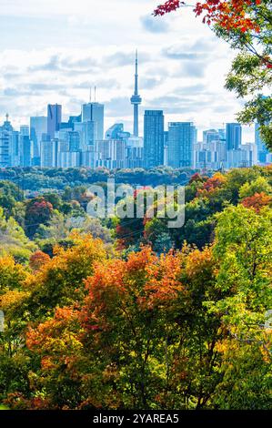 autumn cityscape - yellow maple tree in front of apartment house Stock ...