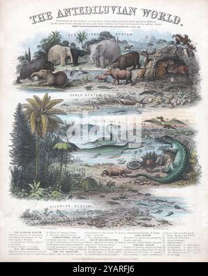 A hand-colored lithograph by John James Audubon circa 1827 depicting ...