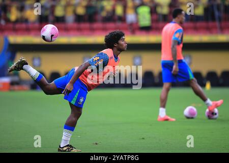 Endrick player of Brazil before the match between Brazil and Haiti in ...