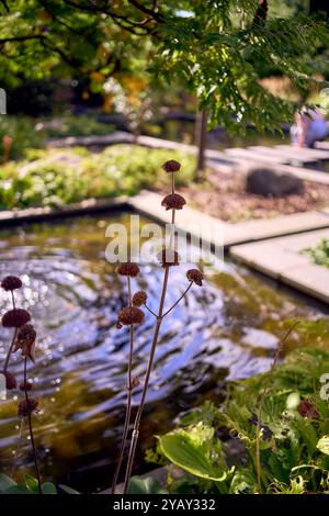 Frederiksberg Park botanical garden, Copenhagen Stock Photo - Alamy