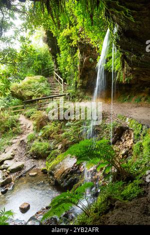 Yad Waterfall Maspie Den Falkland Fife Scotland April 2018 Stock Photo ...