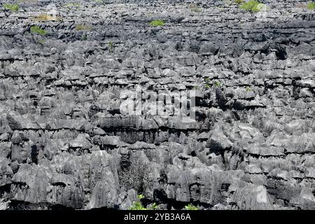Ankarana Special Reserve is a karst topography formed in Jurassic ...