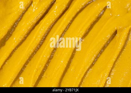 Macro Texture Mustard Sauce, Natural Traditional Spicy Mustard Sauce ...