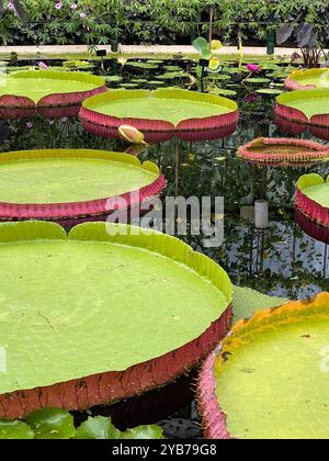 Kew gardens, Chiswick, London, England, U.K. Europe Stock Photo - Alamy
