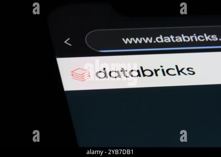 Databricks company brand logo on official website. American software ...