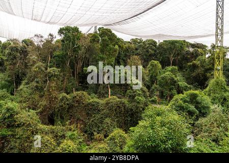 A view inside of the Birds of Eden sanctuary in Plettenberg Bay, South ...