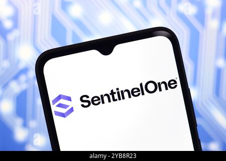 In this photo illustration, the Software One logo is seen displayed on ...