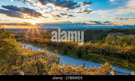 The sun goes down over the vineyards of Collio, Friuli Venezia Giulia ...