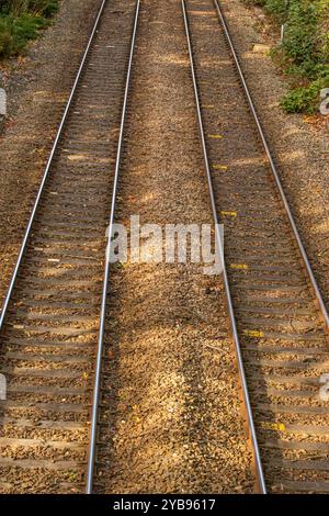 Aerial view of railway tracks surrounded by green landscape Stock Photo ...