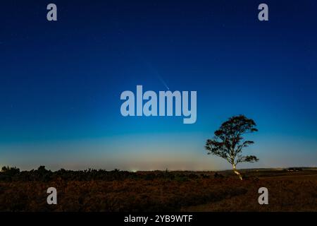 Comet A3 seen over the New Forest Stock Photo - Alamy