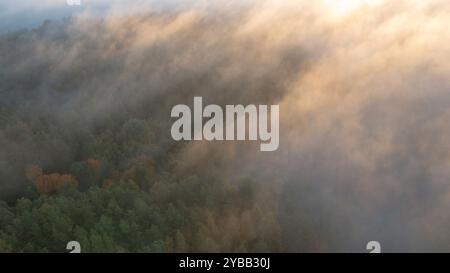 Autumnal equinox. Deforestation. Aerial view of autumn morning forest ...