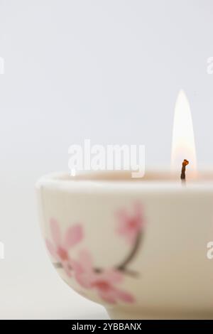 Vertical close-up of a light pink rose flower with green leaves and ...