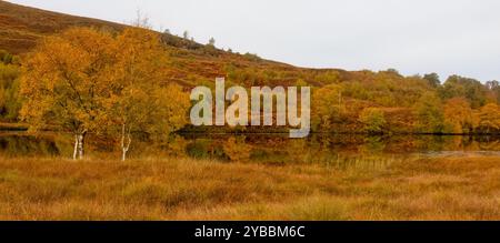 Small scottish loch surrounding by trees with beautiful reflection and ...