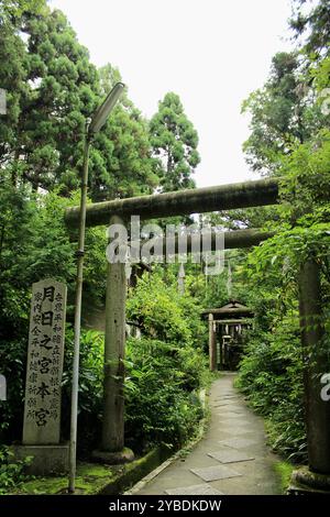 Kyoto, Japan - July 25 2017: Vibrant Red Torii Gate at the Entrance of ...