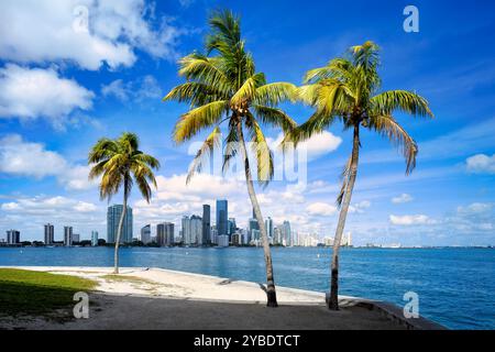 the skyline of miami with palm trees, florida Stock Photo - Alamy