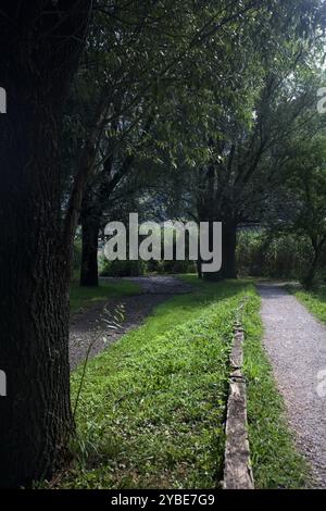 Path in a park by the lakeshore with the opposite shore framed by trees ...