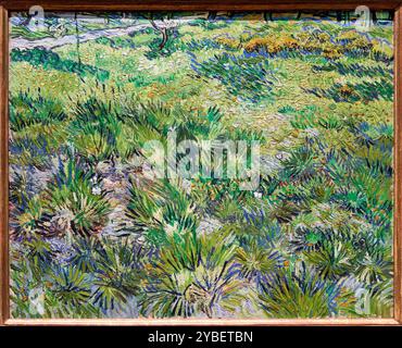 Grass with Butterflies. Museum: Van Gogh Museum, Amsterdam Stock Photo ...