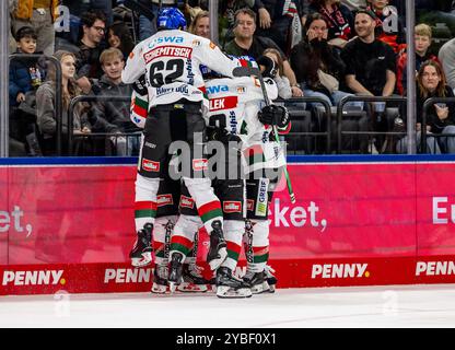 Die Augsburger bejubeln mit Riley Damiani (Augsburger Panther, #19 ...