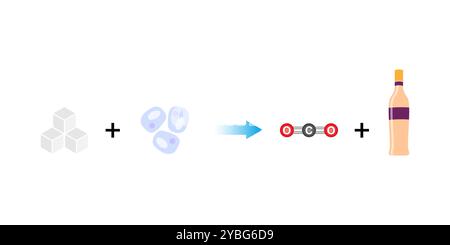 Sugar fermentation, illustration Stock Photo - Alamy