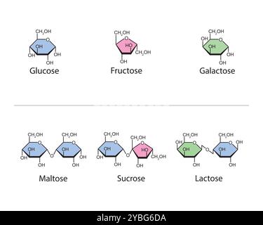 Glucose, monosaccharide, chemical structure. Simple sugar. Natta ...