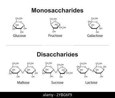 Glucose, monosaccharide, chemical structure. Simple sugar. Natta ...