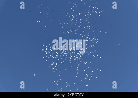 hundreds of blue balloons in sky Stock Photo - Alamy