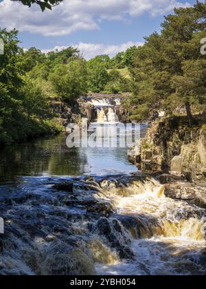 The Low Force Waterfall near Bowlees, County Durham, England, UK Stock ...