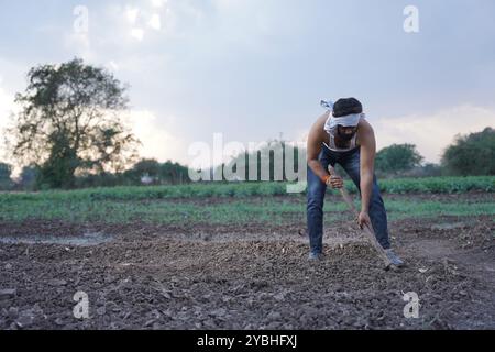 Indian farmer, young, laboring on the field Stock Photo - Alamy