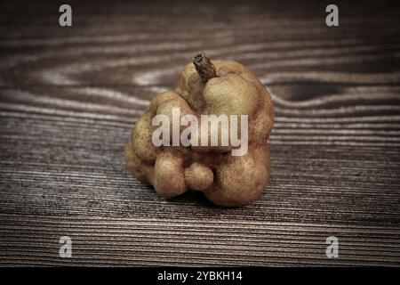 Deformed, malformed or atypical fruit, Pear in studio Stock Photo - Alamy
