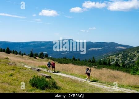 The Giant Mountains Krkonose Karkonosze Riesengebirge, National Park ...
