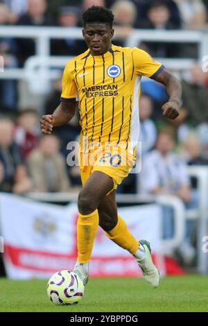 Brighton and Hove Albion's Carlos Baleba celebrates after the Premier ...