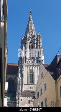The historic Ulm Munster gothic cathedral in downtown, Germany Stock ...