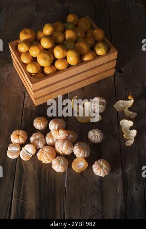 Presentation of the result of the collection of the fruit of the ...