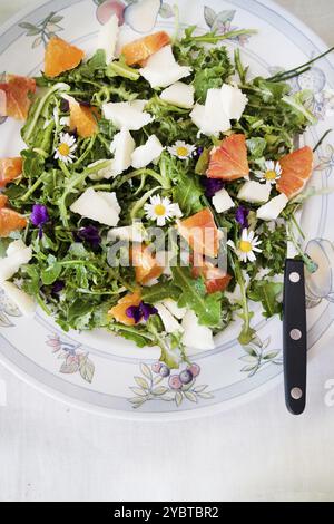 Contour based on fresh and wild grass for food use Stock Photo - Alamy