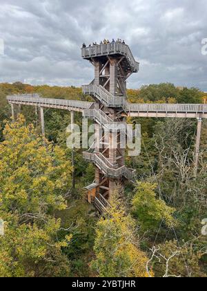 Besucher auf dem Aussichtsturm des Baumwipfelweg im Wald bei Bad ...