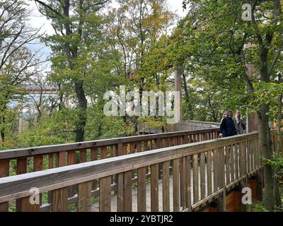 Besucher auf dem Baumwipfelweg im Wald bei Bad Camberg - Bad Camberg 19 ...