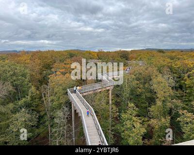 Baumwipfelweg im Wald bei Bad Camberg - Bad Camberg 19.10.2024 ...