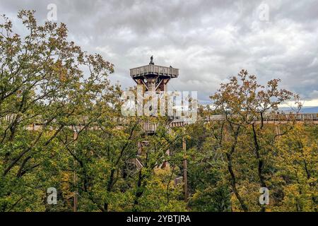 Besucher auf dem Aussichtsturm des Baumwipfelweg im Wald bei Bad ...