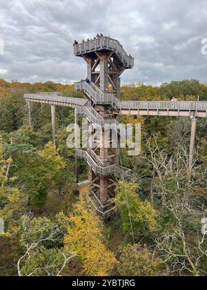 Besucher auf dem Aussichtsturm des Baumwipfelweg im Wald bei Bad ...
