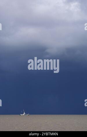 Wadden Sea coast near Wierum in the Netherlands at sunrise Stock Photo ...