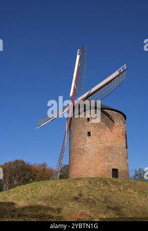 Netherlands, Europe, Holland, Zeddam, Gelderland, windmill, flowers ...