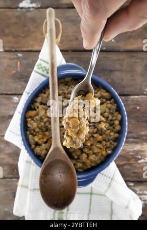 Photographic representation of the completely vegan lentil-based sauce ...