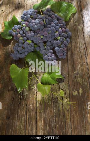 Late summer fruits, collection of black grape strawberry Stock Photo ...