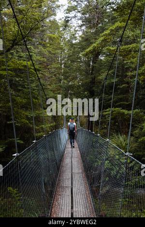 Small suspension bridge on the Rainbow Reach track near Te Anau within ...